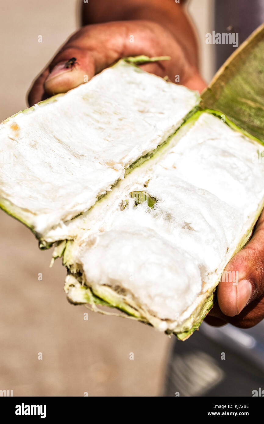 Hands of a man holding a pacae (Inga brachyptera) cut in two halves ...