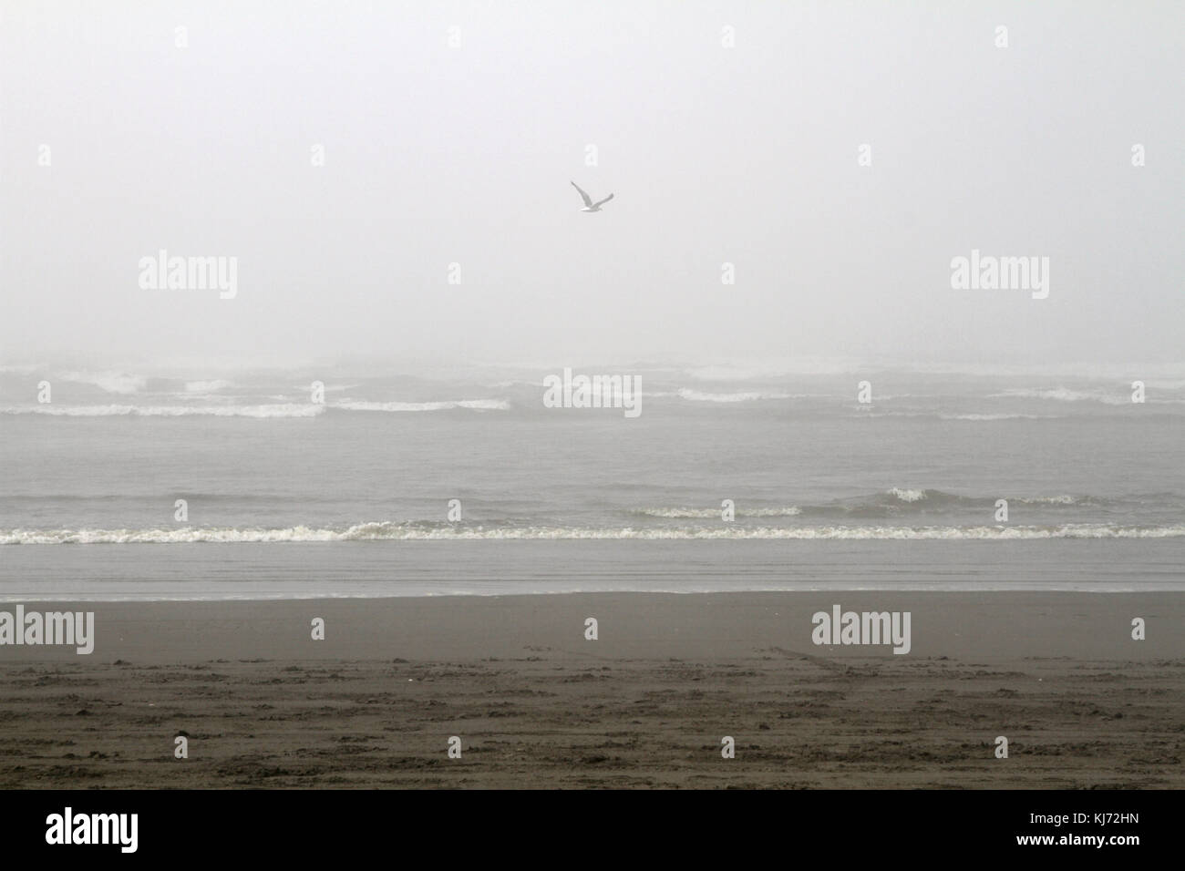 Flying over ocean surf hi-res stock photography and images - Alamy