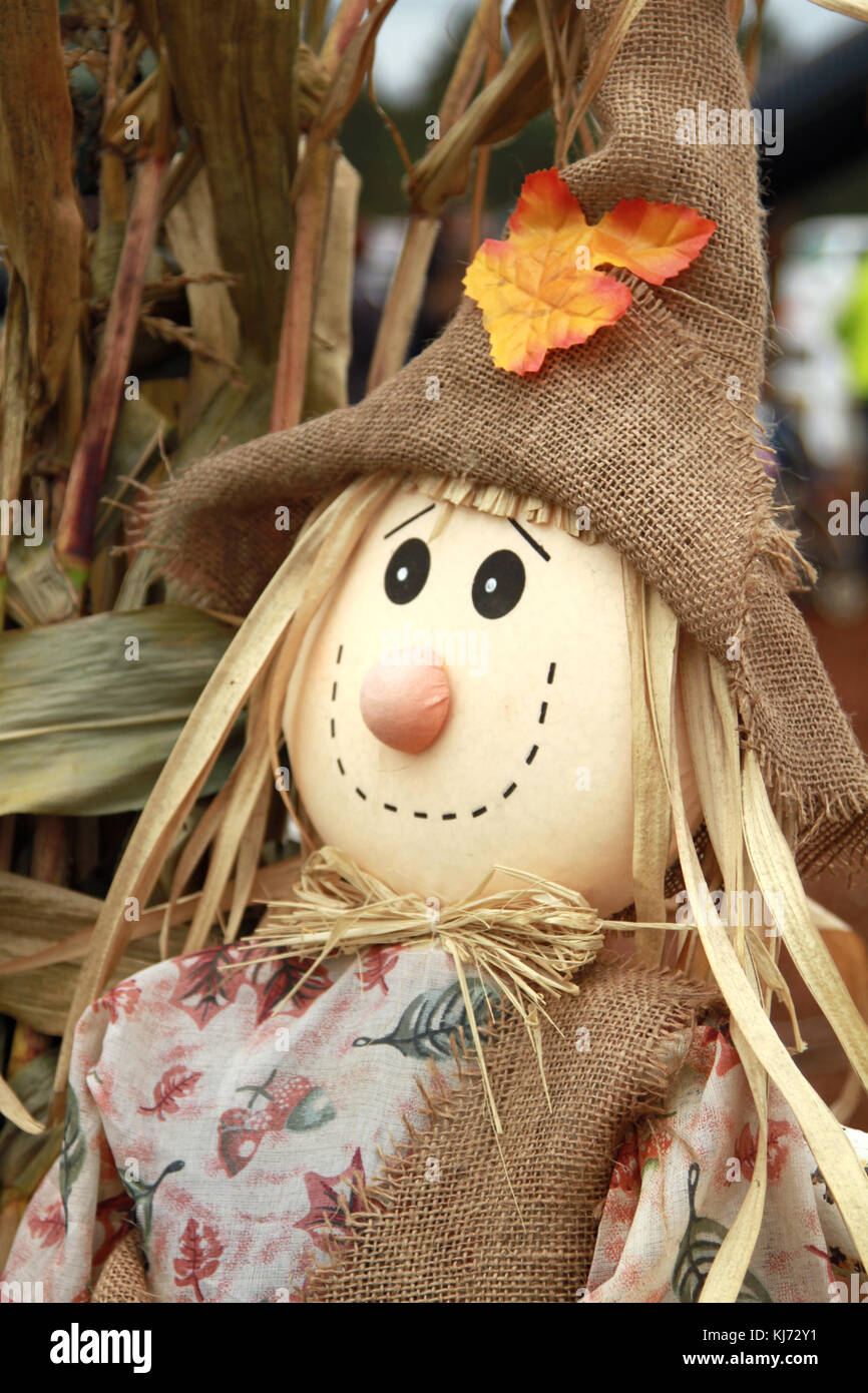 Close up of scarecrow Stock Photo - Alamy