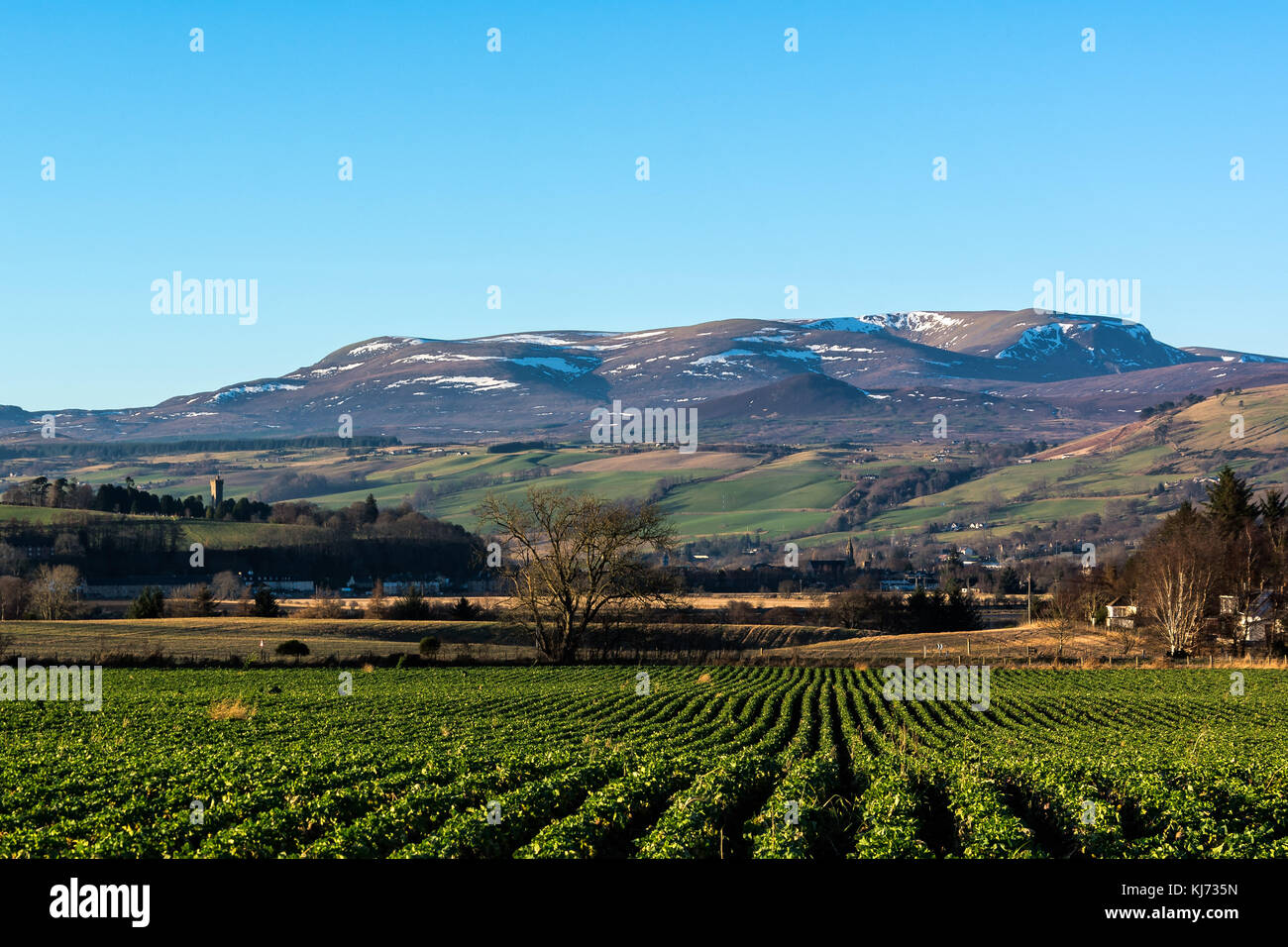 Ben Wyvis, Dingwall, Ross shire, Scotland United KingomBadicaul Stock ...