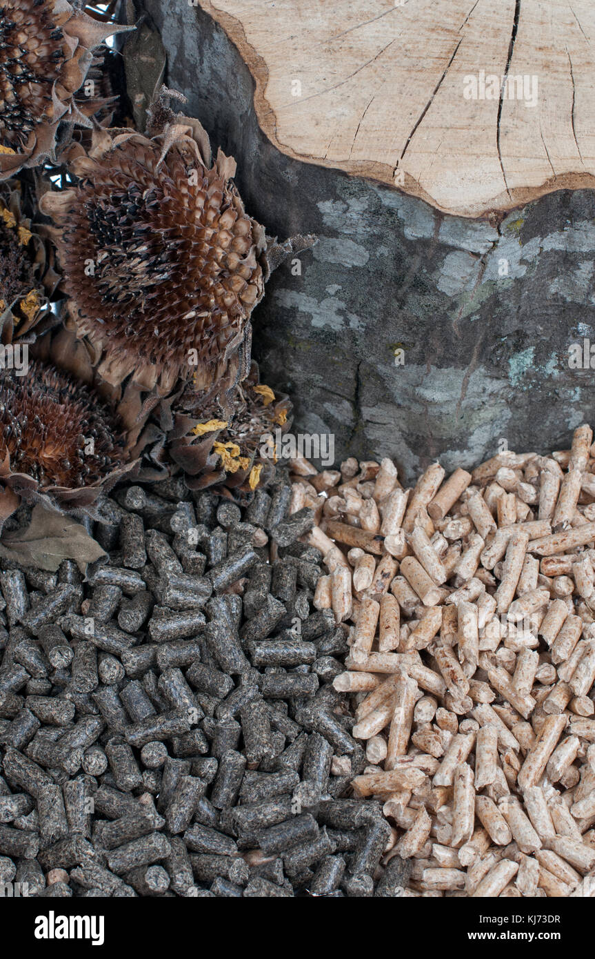 Ecological power hi-res stock photography and images - Alamy