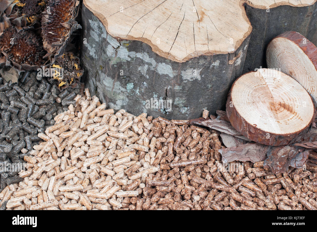 Three different kind of pellets and material they made of Stock Photo ...