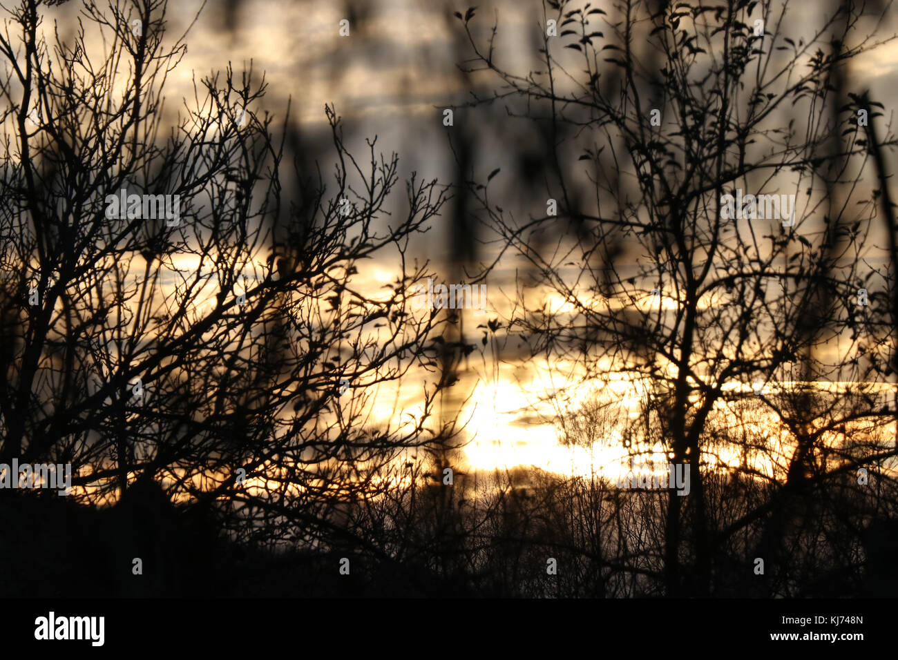 Clouds and sunset through branches scene Stock Photo - Alamy