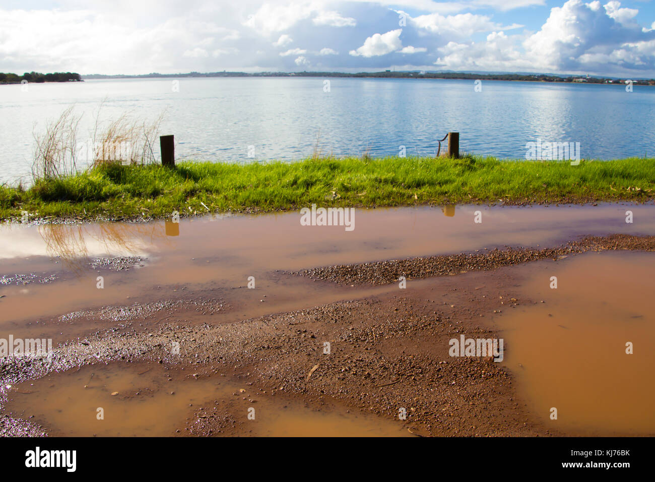 Australind hi-res stock photography and images - Alamy