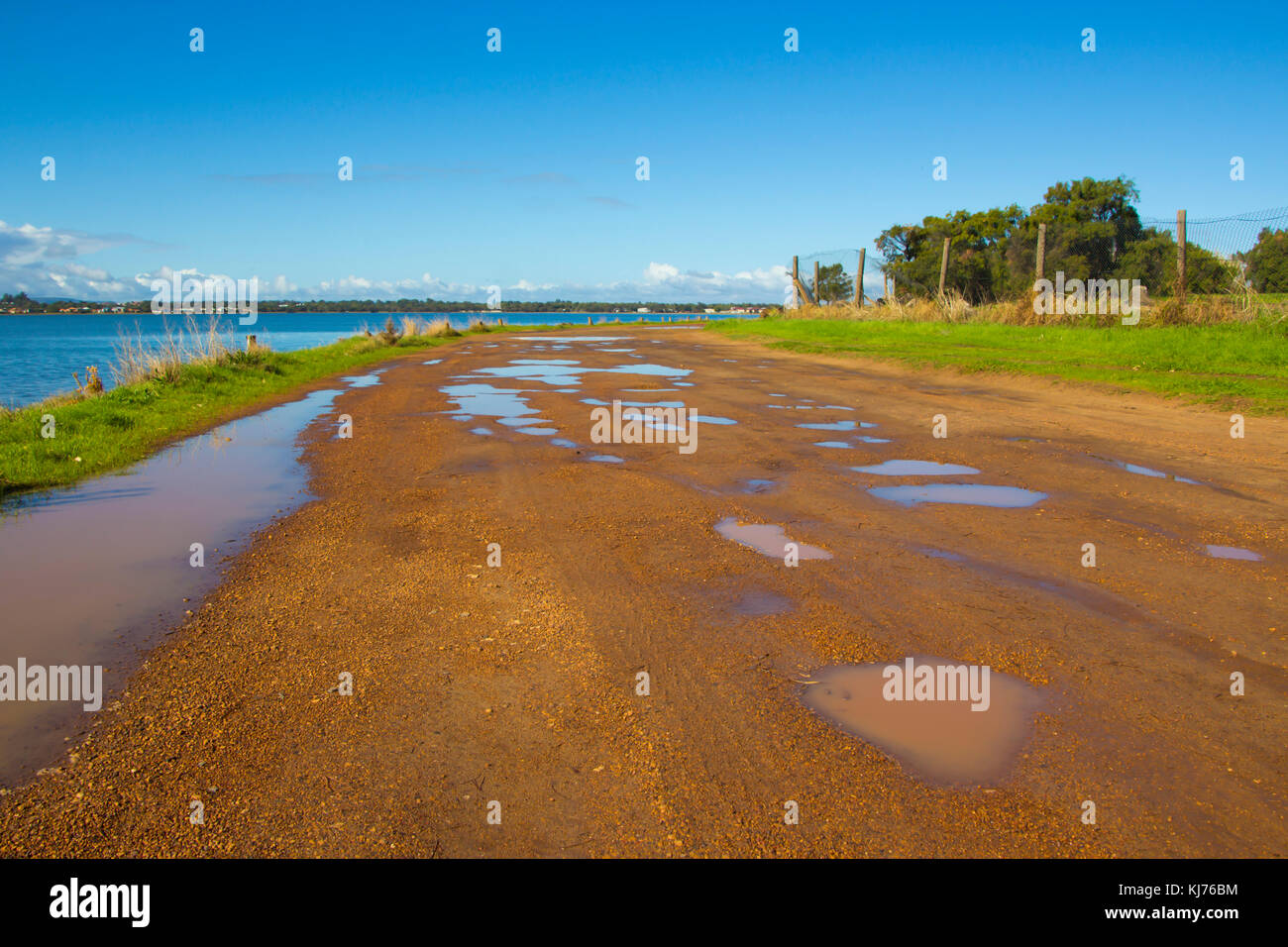 Australind hi-res stock photography and images - Alamy