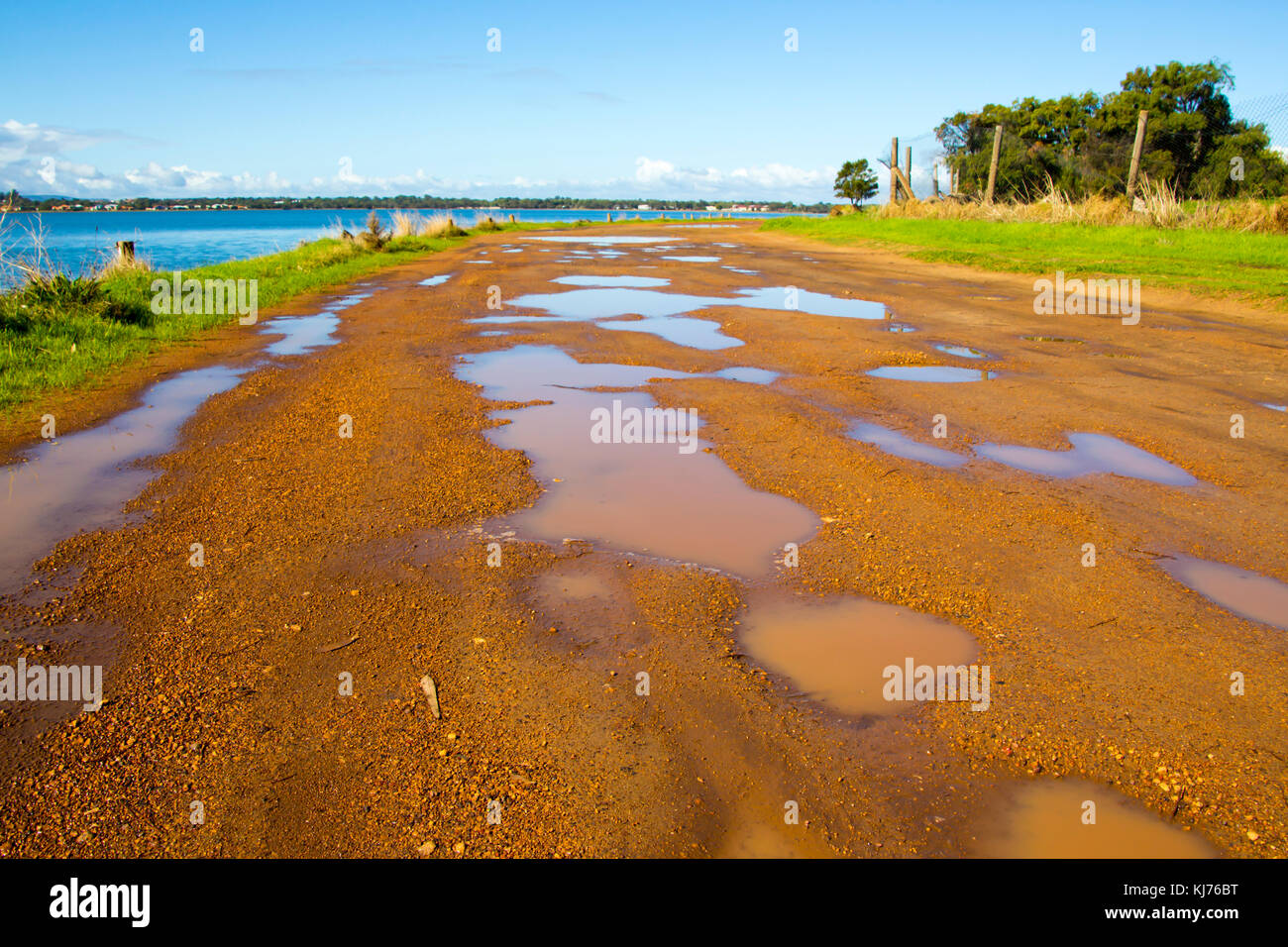 Australind hi-res stock photography and images - Alamy