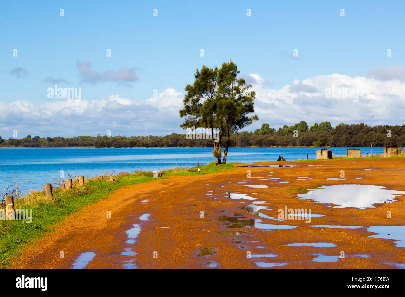 Australind hi-res stock photography and images - Alamy