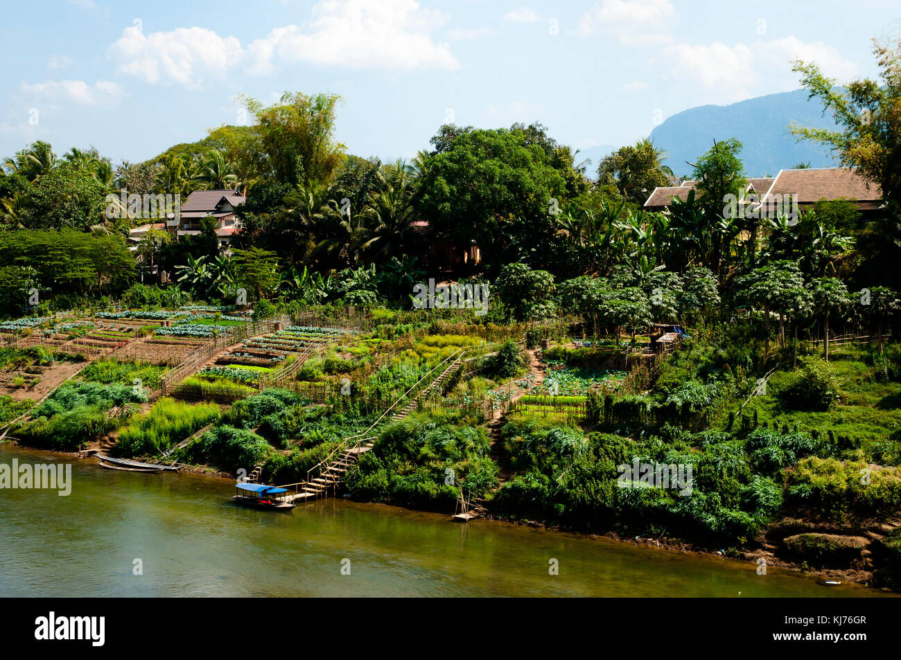 Rice Farming Mekong High Resolution Stock Photography and Images - Alamy