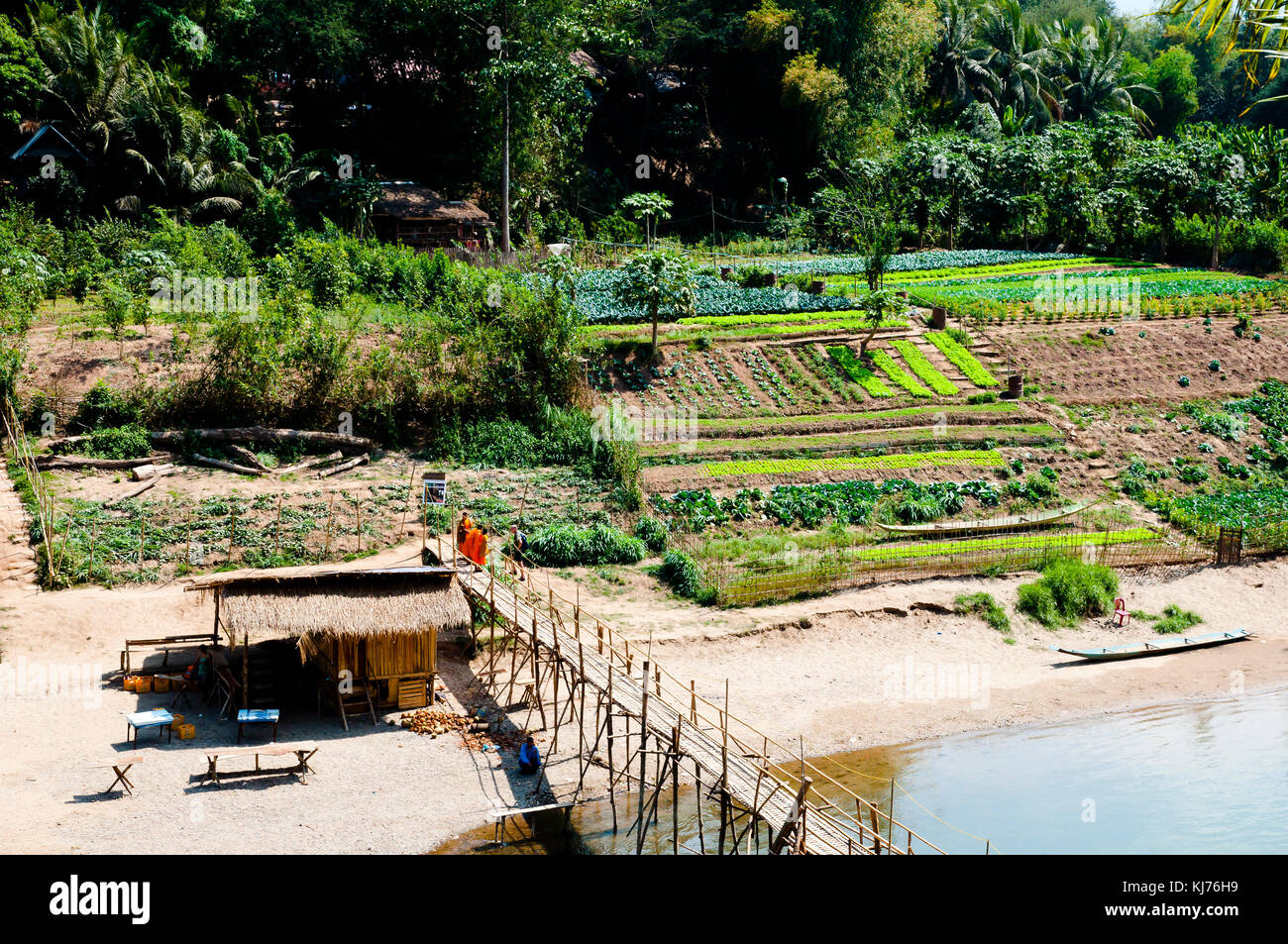 Rice farming mekong hi-res stock photography and images - Alamy