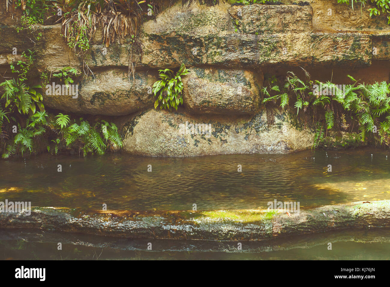 Waterfall , rocks and trees Stock Photo - Alamy
