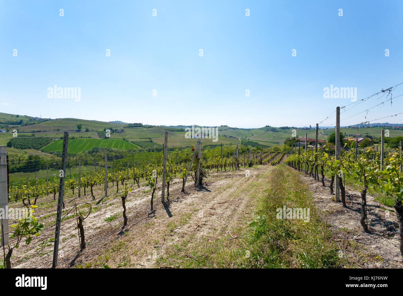 Beautiful Italian landscape. Vineyards from Langhe region,Italy ...