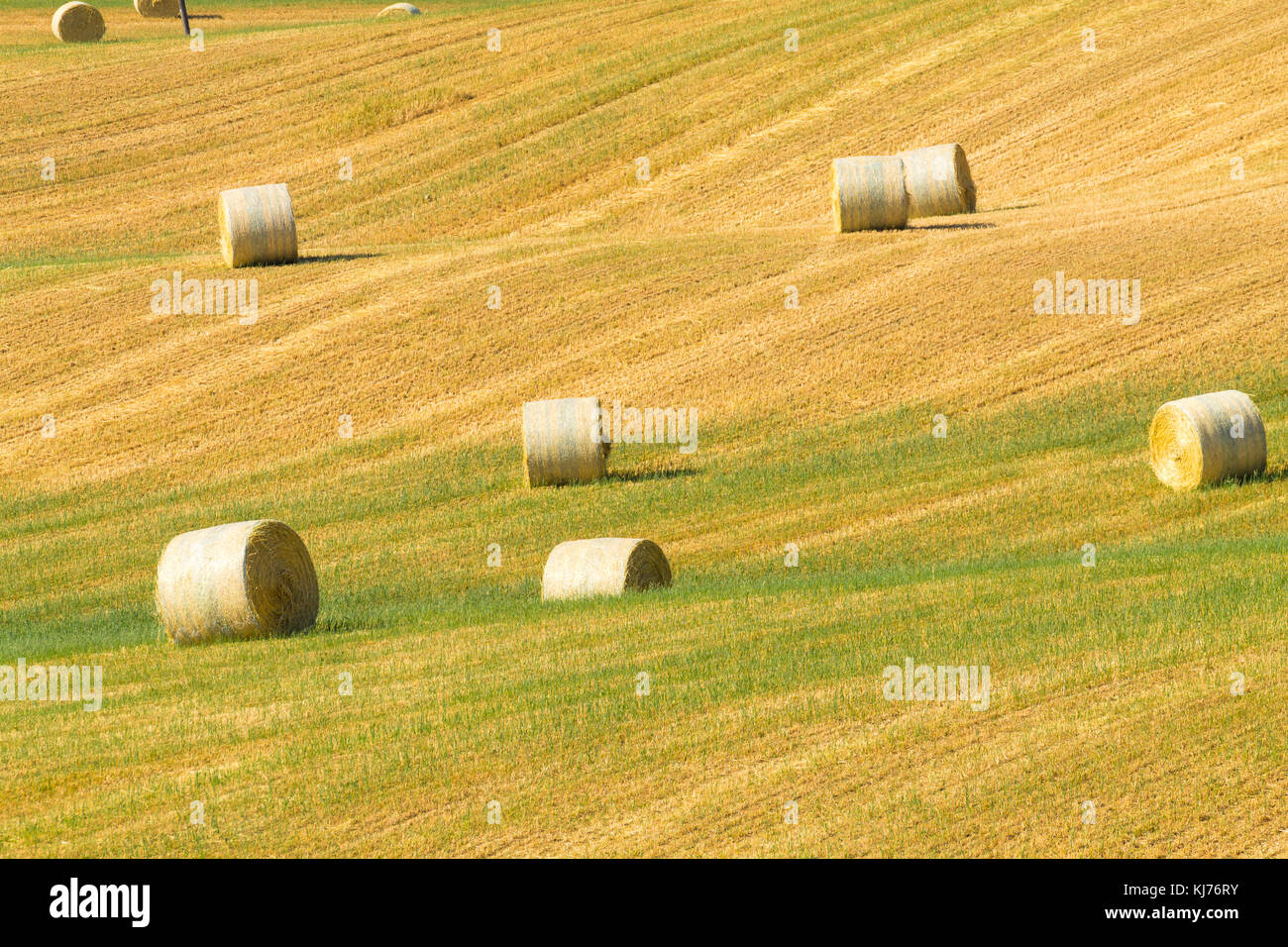 Tuscany hills landscape, Italy. Rural italian panorama Stock Photo - Alamy