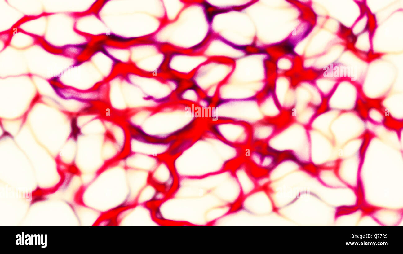 Abstract beautiful lines background. Colorful line texture wallpaper ...