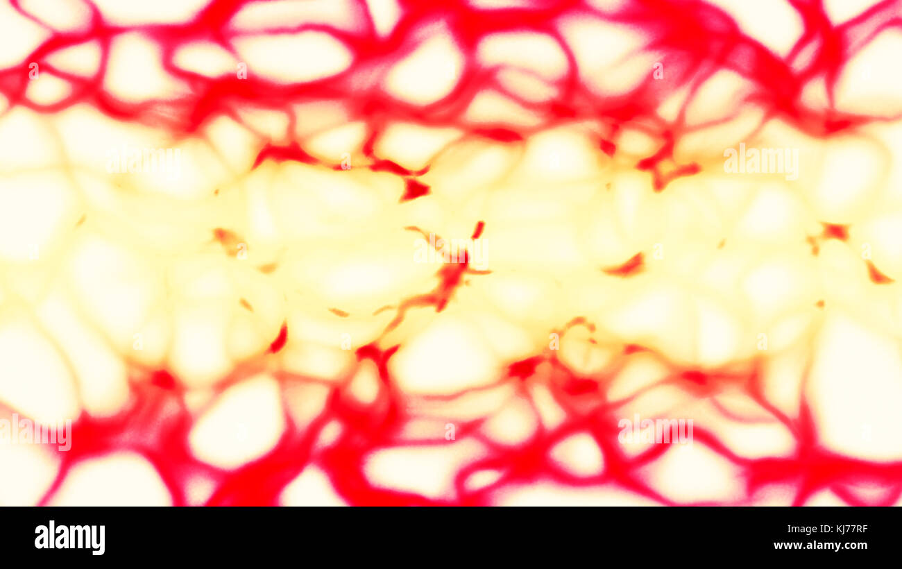 Abstract beautiful lines background. Colorful line texture wallpaper ...