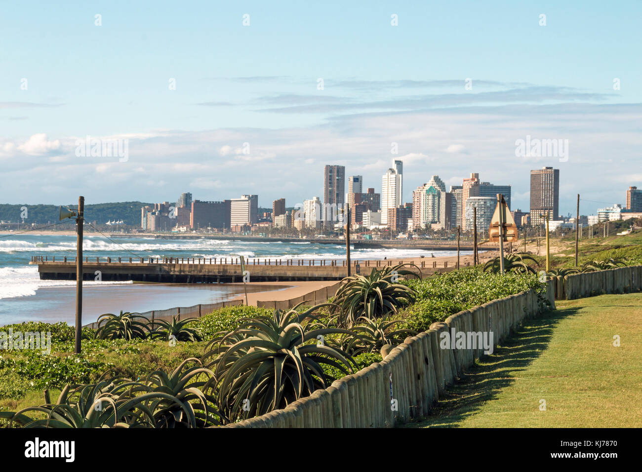 Wood pole fence aloe plants and dune vegetation against Durban city ...