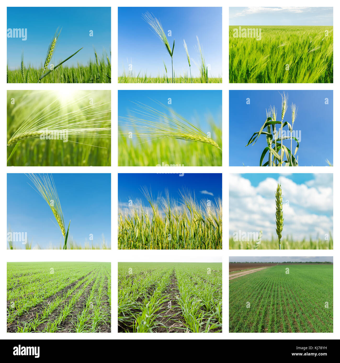 Collage of internet hi-res stock photography and images - Alamy