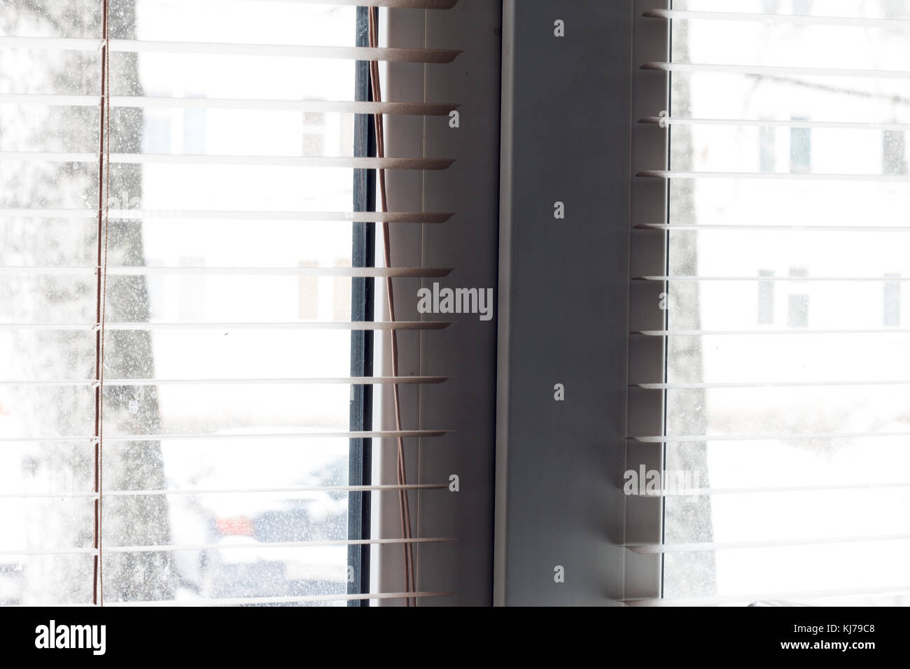 Fragment of the white Venetian blinds with lift cord and turning rod of ...