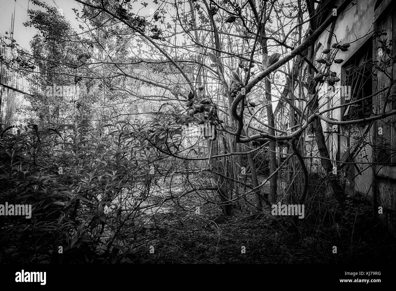 an abandoned factory in Italy Stock Photo - Alamy