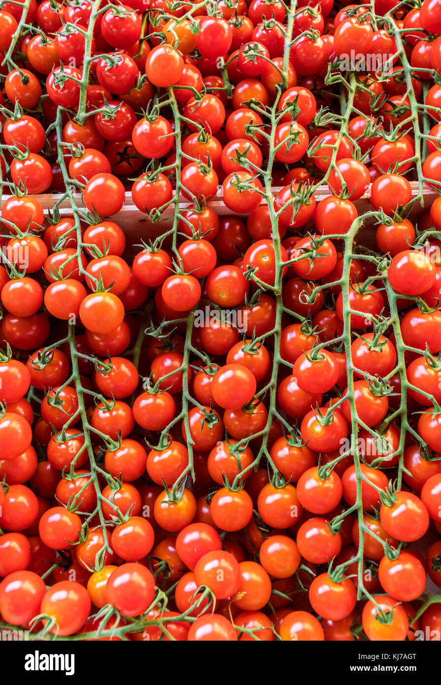 Lots of cherry tomatoes. Top view Stock Photo - Alamy
