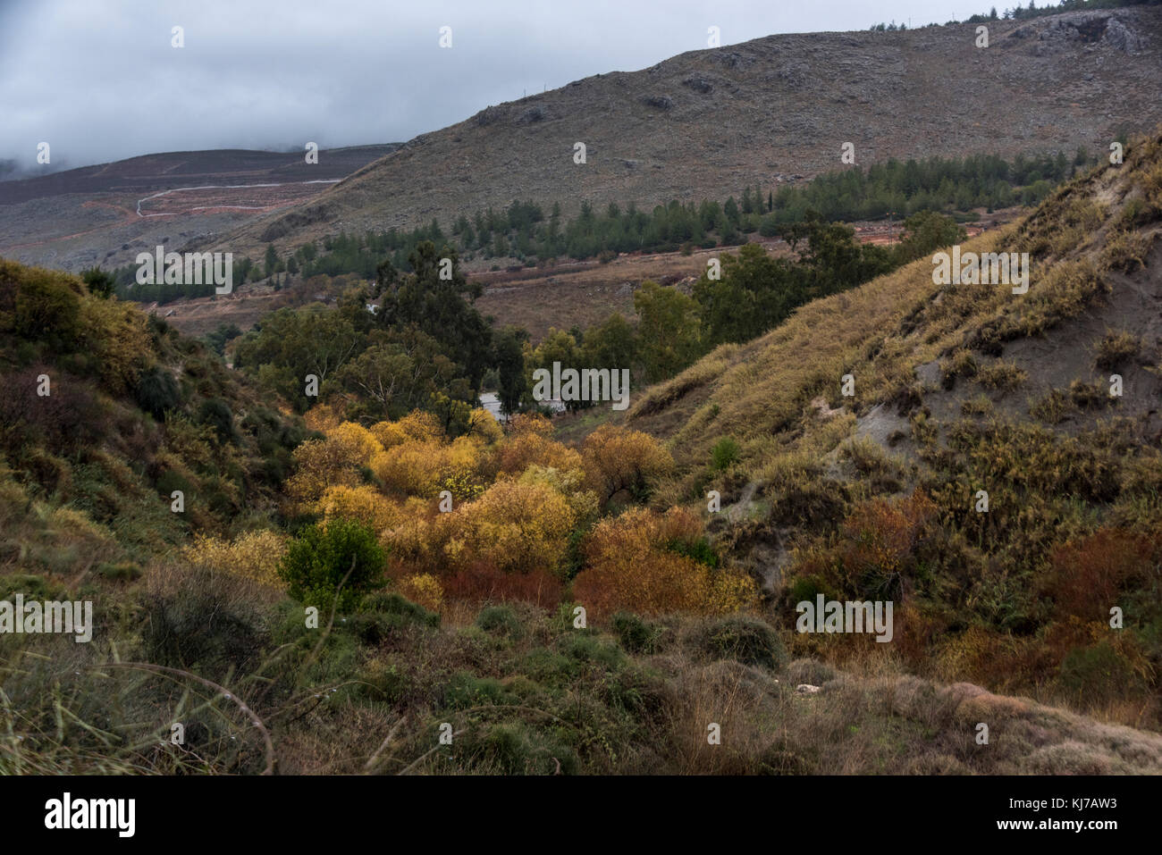 Scenic view of landscape, Nahal Ayoun Nature Reserve, Metula, Northern ...