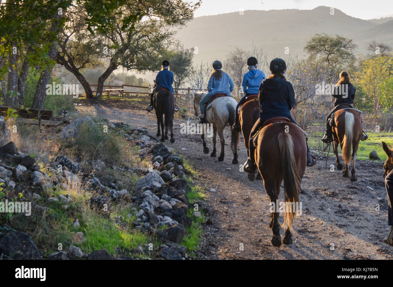 Tourists riding horses, Galilee, Israel Stock Photo - Alamy