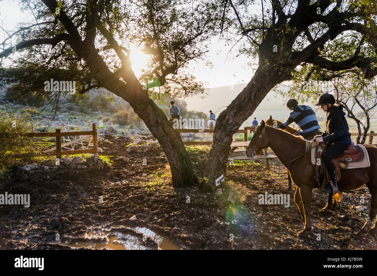 Tourists riding horses, Galilee, Israel Stock Photo - Alamy
