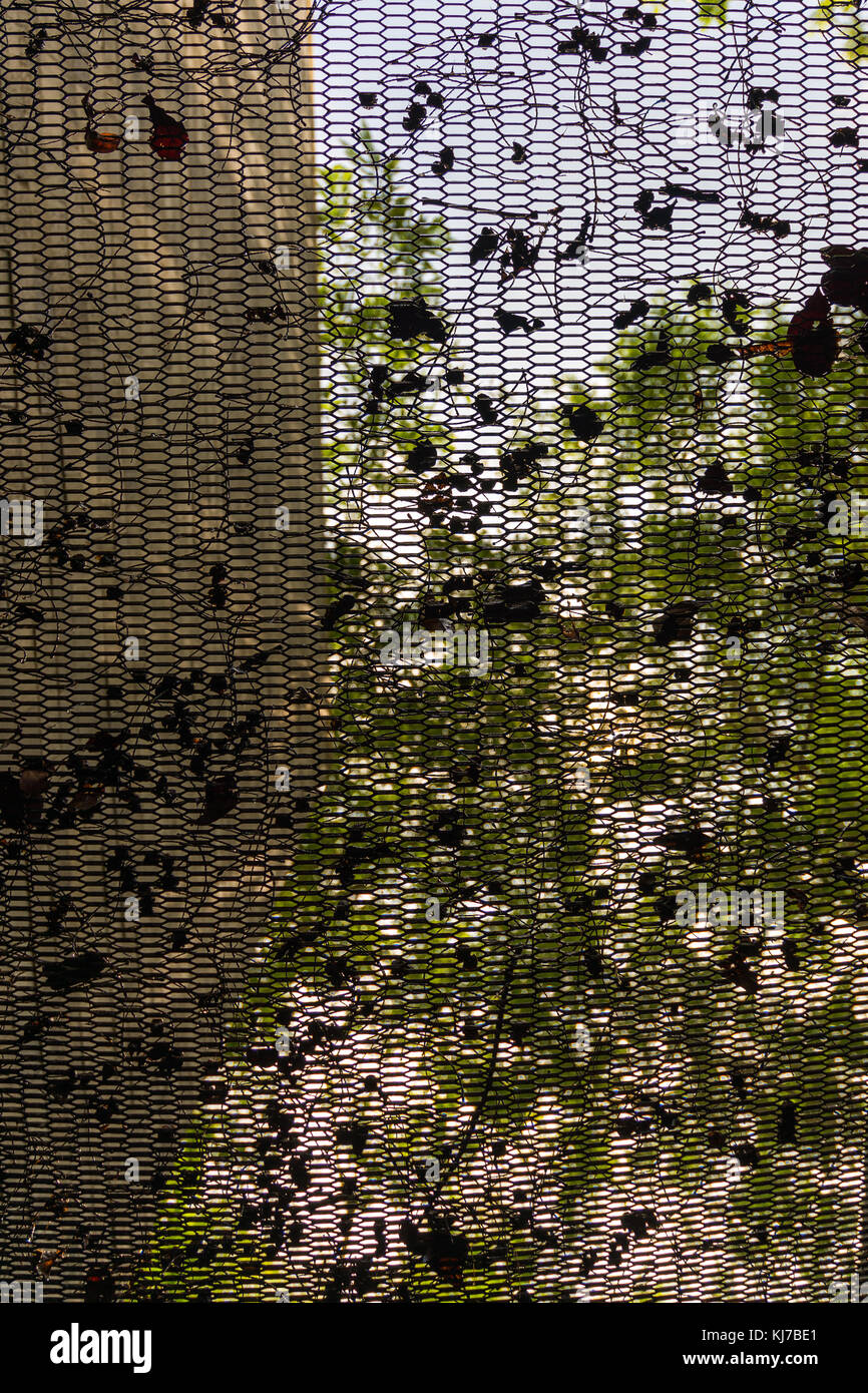 Leaf net (roof) from the bottom view to see the sky Stock Photo - Alamy