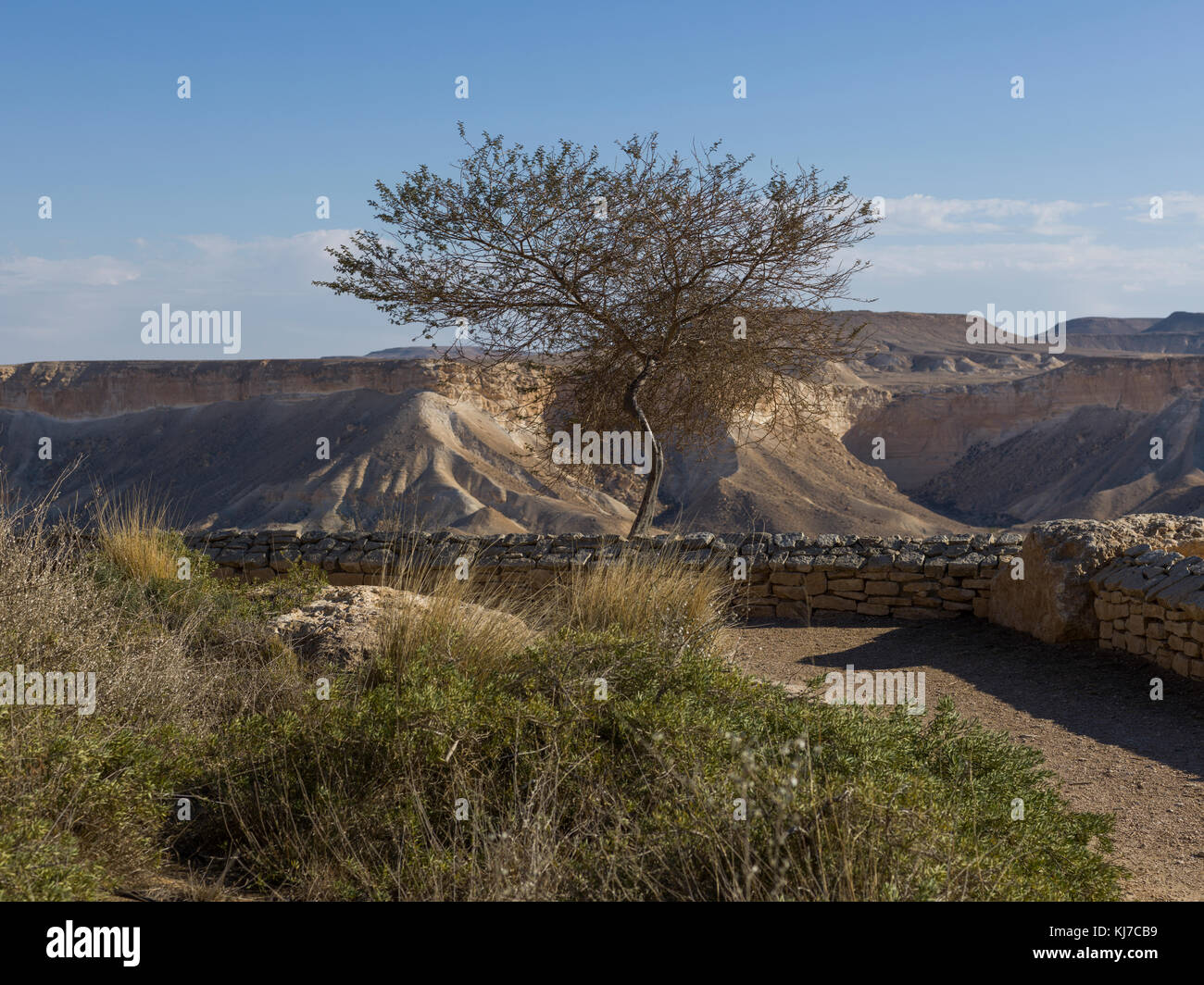 Ben gurion memorial sde boker hi-res stock photography and images - Alamy