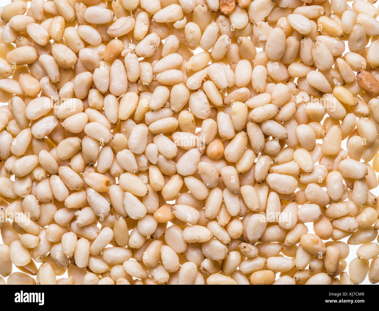 Seeds of pines or pine nuts on the white background Stock Photo - Alamy