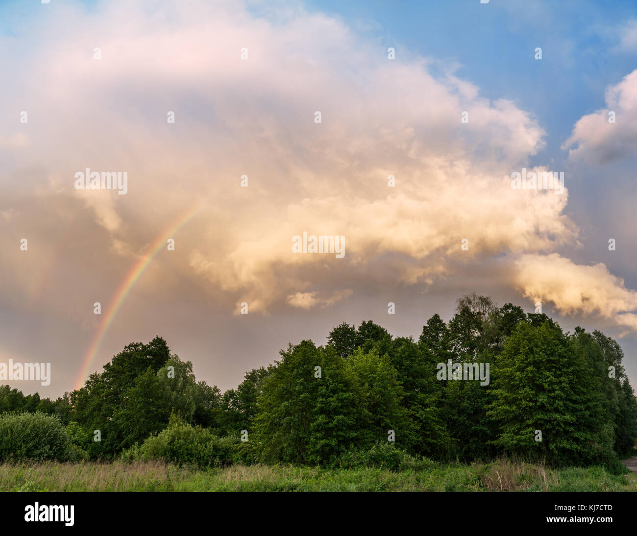 Cloudy sky with trees hi-res stock photography and images - Alamy