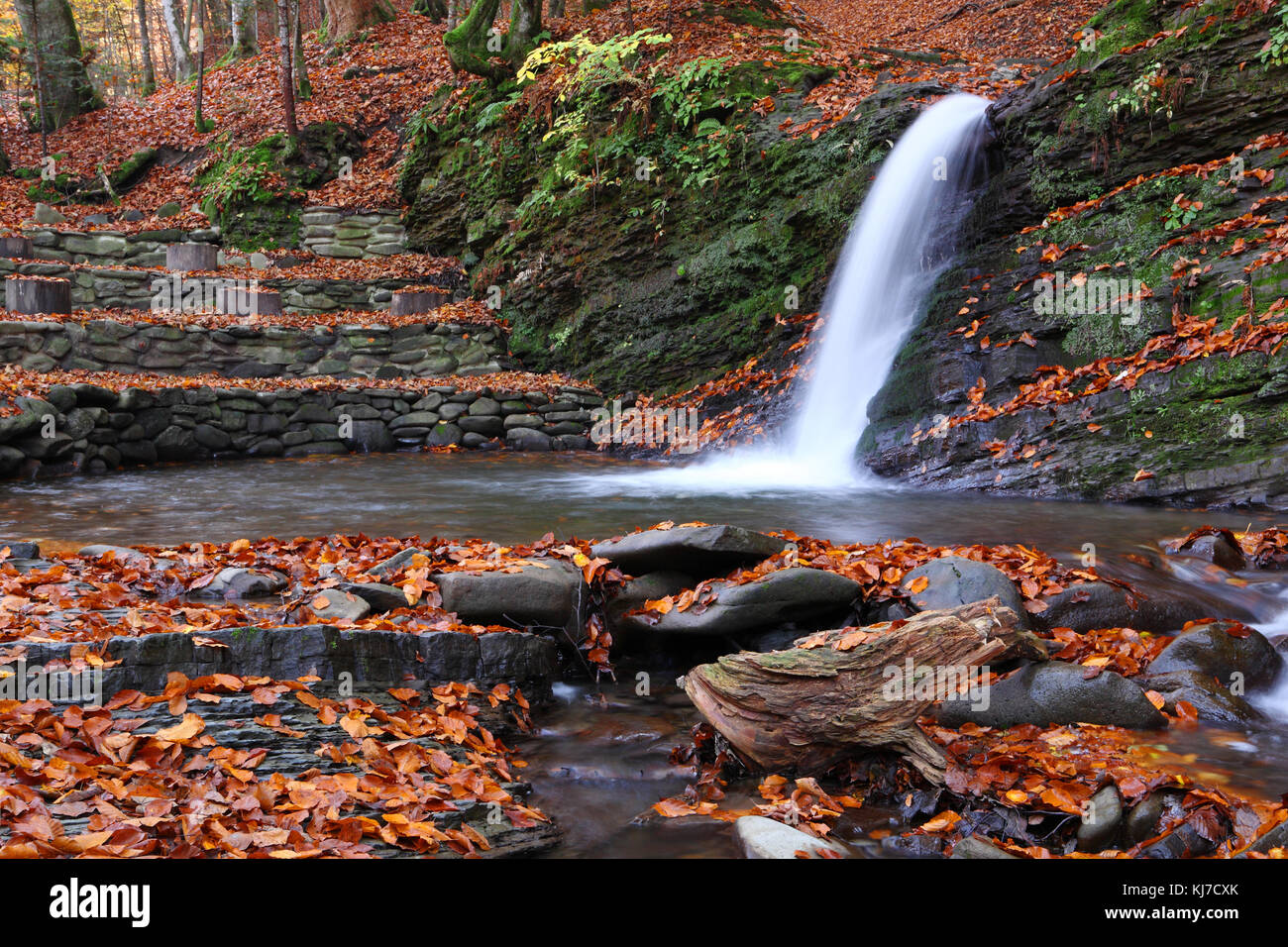 Waterfall in the autumn beech forest in the mountains Stock Photo - Alamy