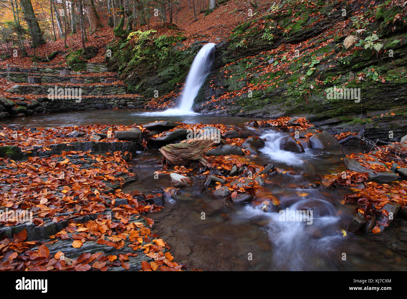 Waterfall in the autumn beech forest in the mountains Stock Photo - Alamy