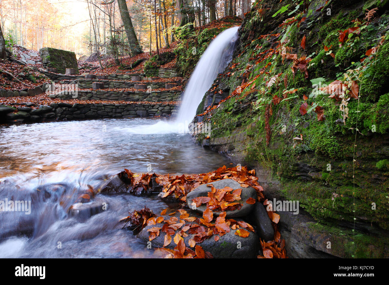 Waterfall in the autumn beech forest in the mountains Stock Photo - Alamy