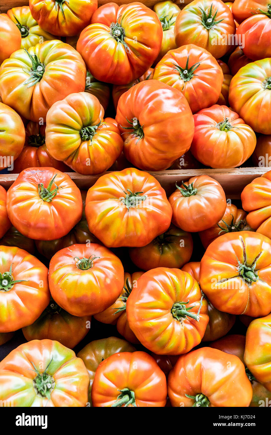 Lots of tomatoes. Top view Stock Photo - Alamy