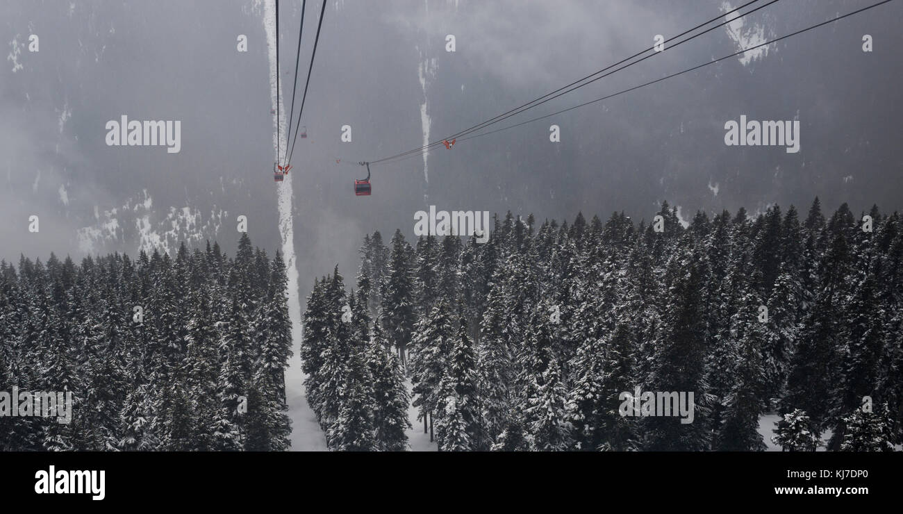 Overhead cable cars over forest on mountain,Whistler,British Columbia ...