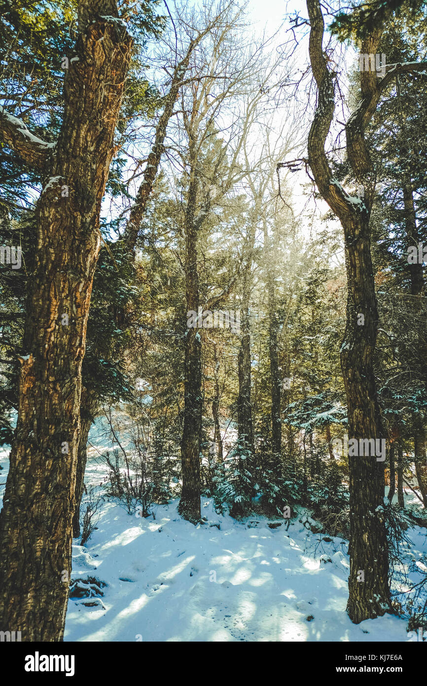 Snow Falling on the Mountain Stock Photo - Alamy