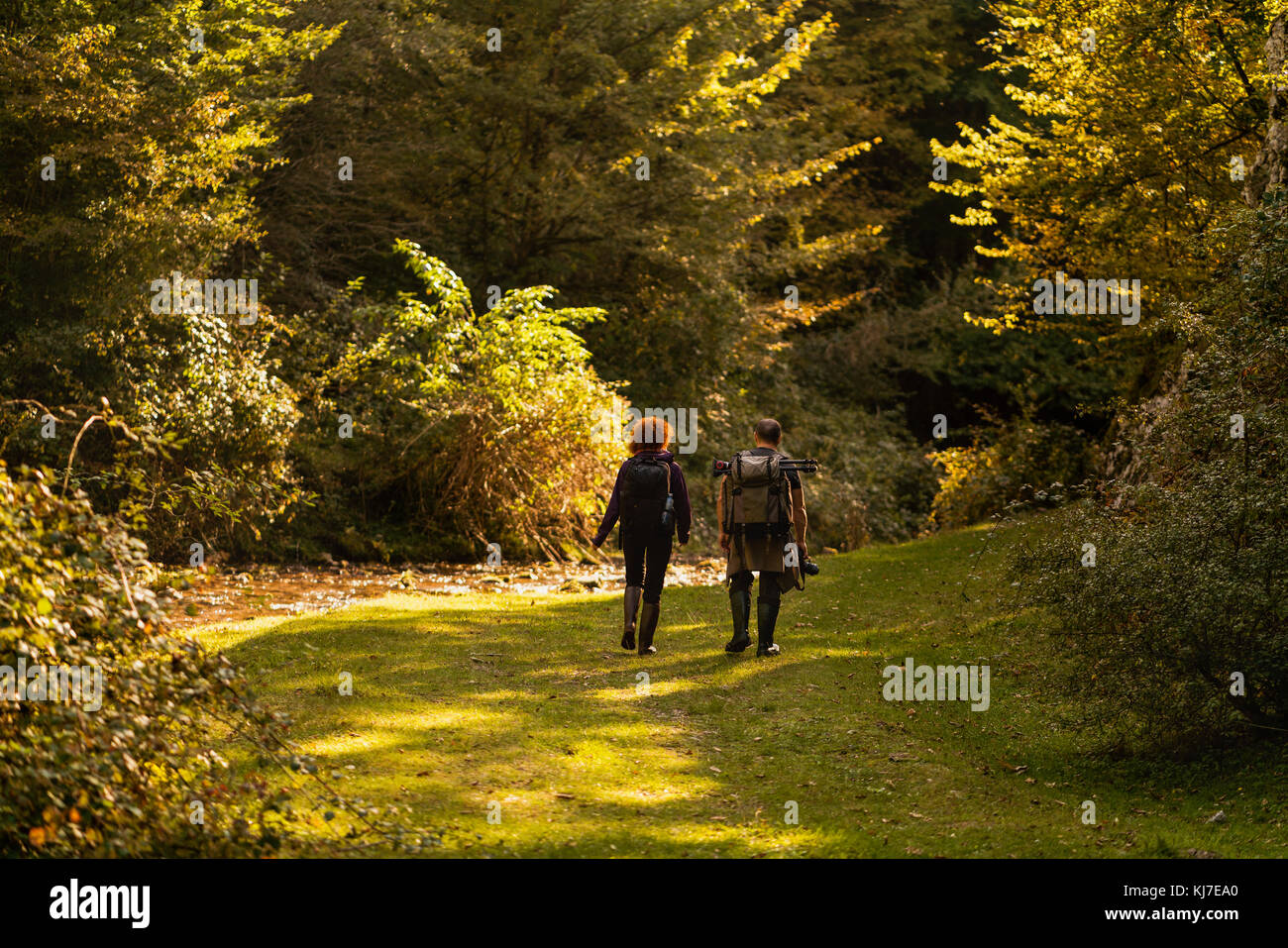 Group of tourists hiking through the forest Stock Photo - Alamy