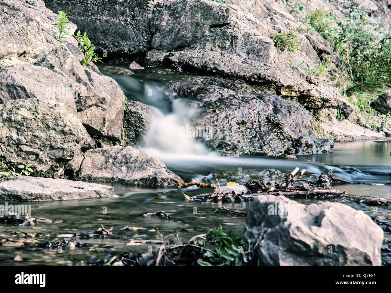 Water stream. Long time photo exposure. Detailed natural photo. Brook ...