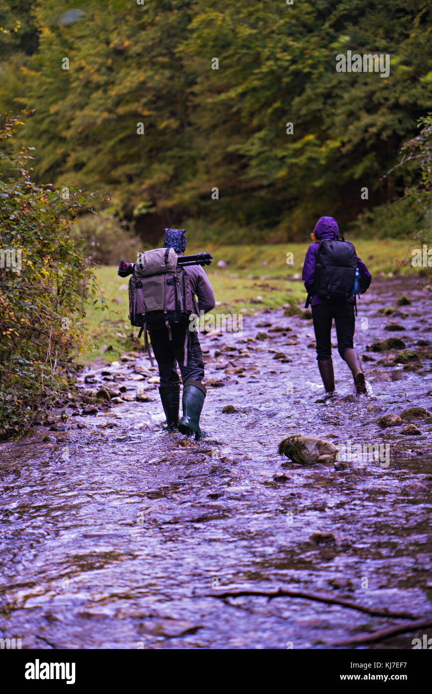 Group of tourists hiking through the forest Stock Photo - Alamy