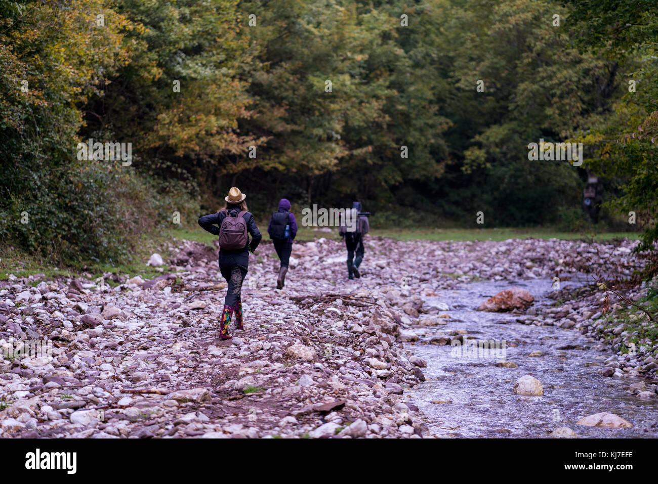 Group of tourists hiking through the forest Stock Photo - Alamy