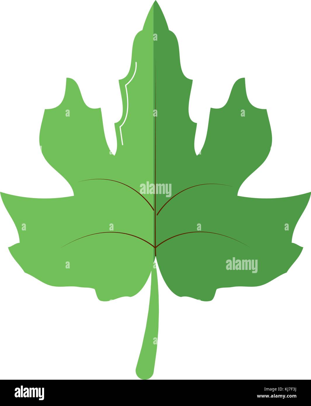 Leaf of plant floral and garden theme Isolated design Vector ...