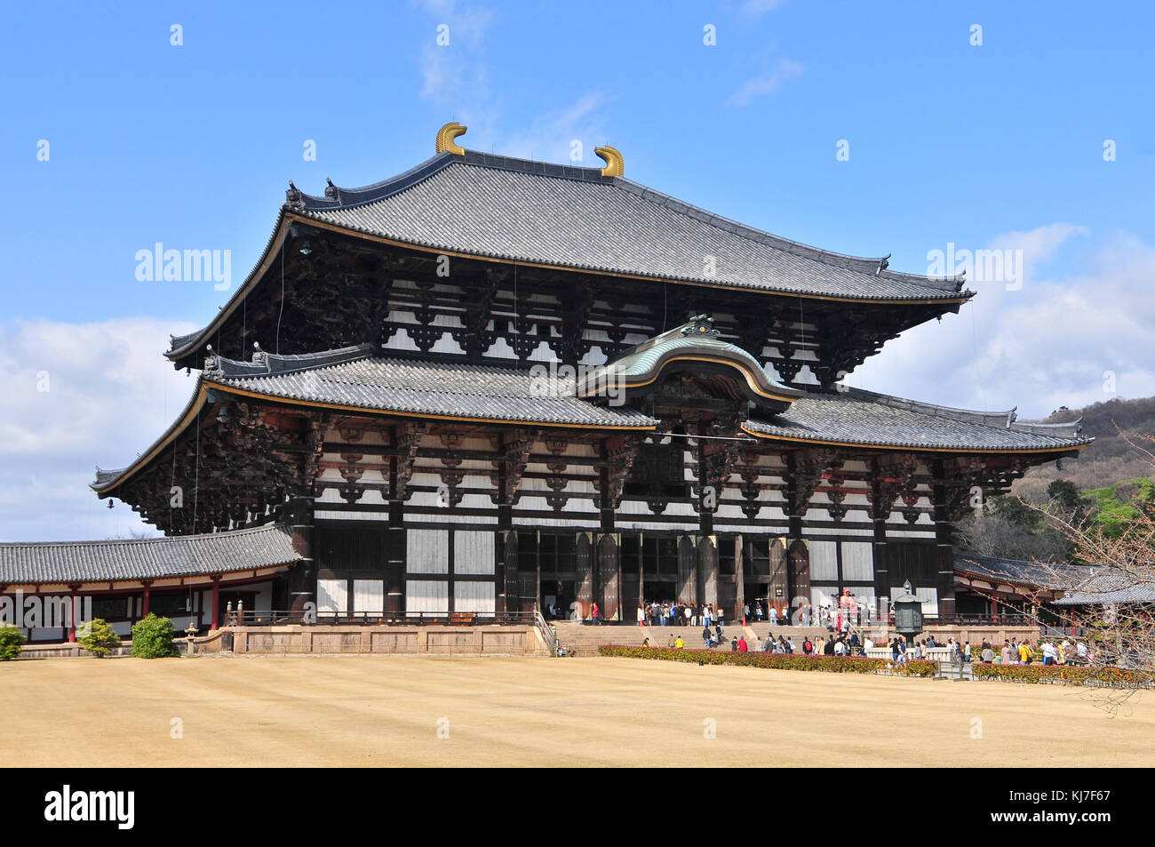 The Daibutsu-den at the Todai-ji temple in Nara, Japan Stock Photo - Alamy