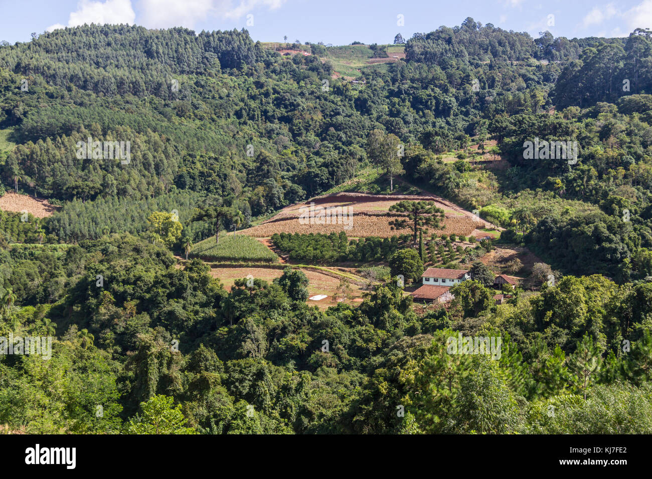 Farm in Valley and mountains in Nova Petropolis, Rio Grande do Sul ...