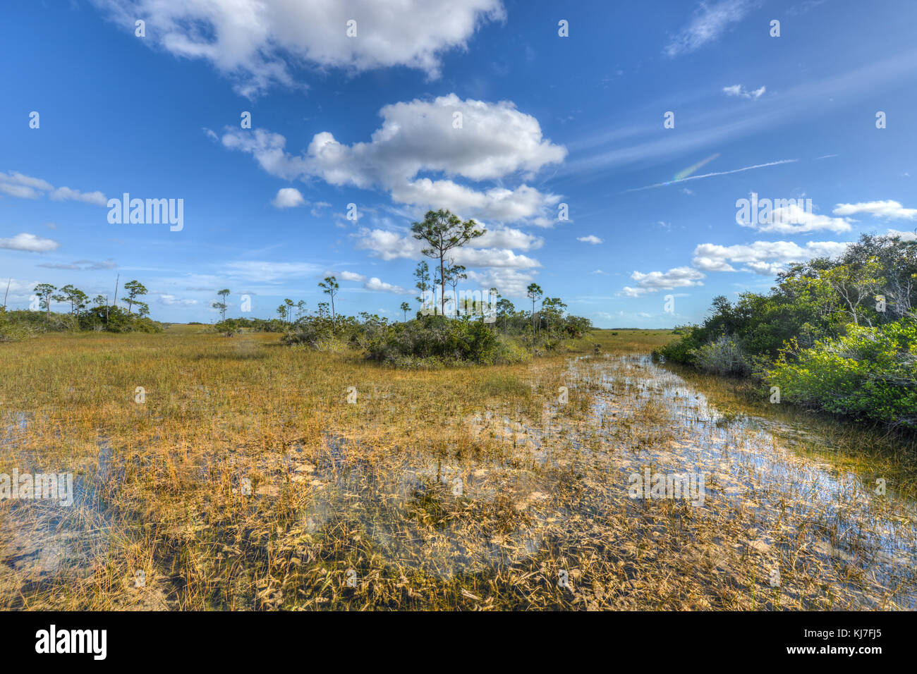 Scenic landscape in the Florida Everglades National Park during the ...