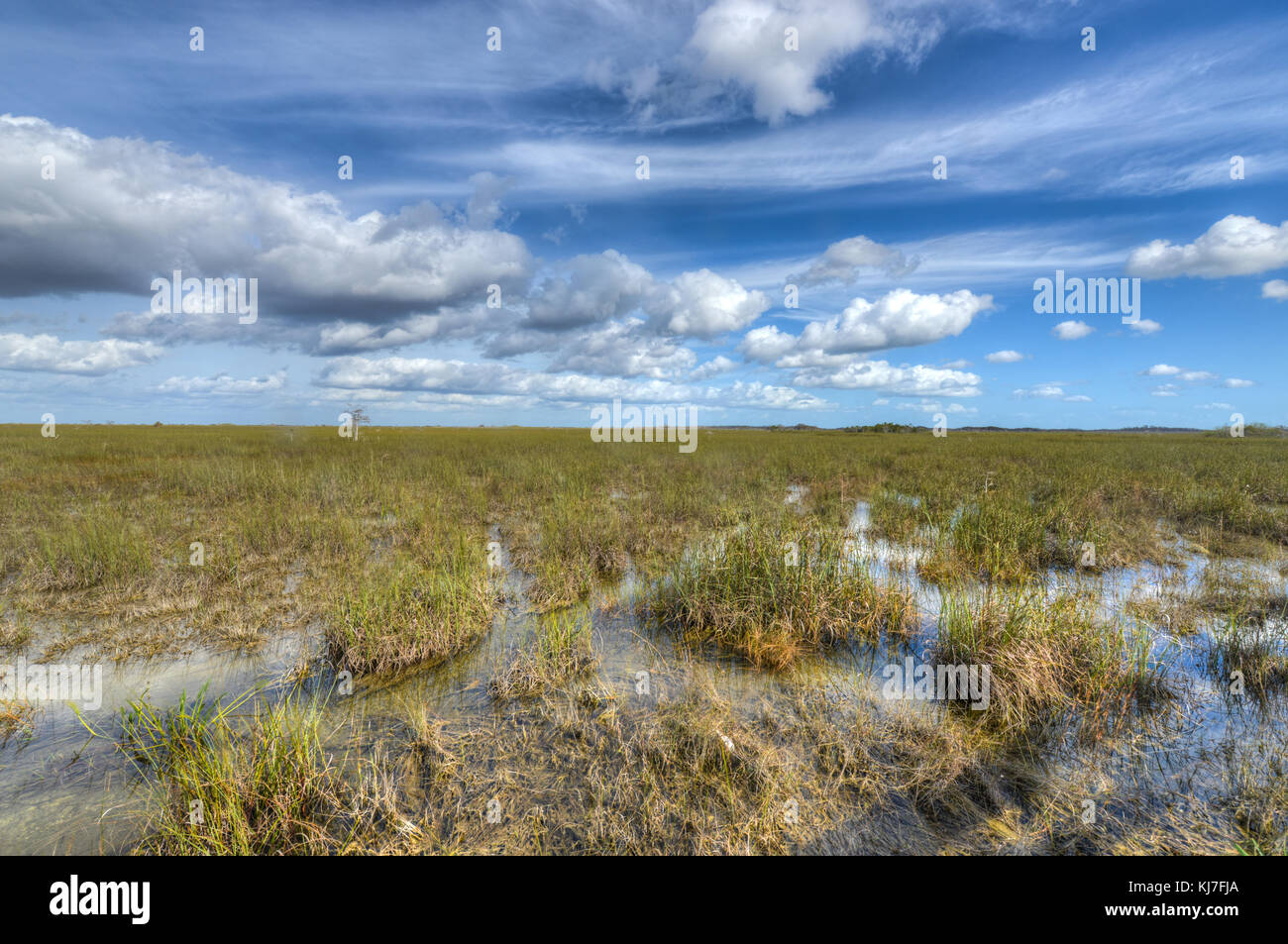 Scenic landscape in the Florida Everglades National Park during the ...