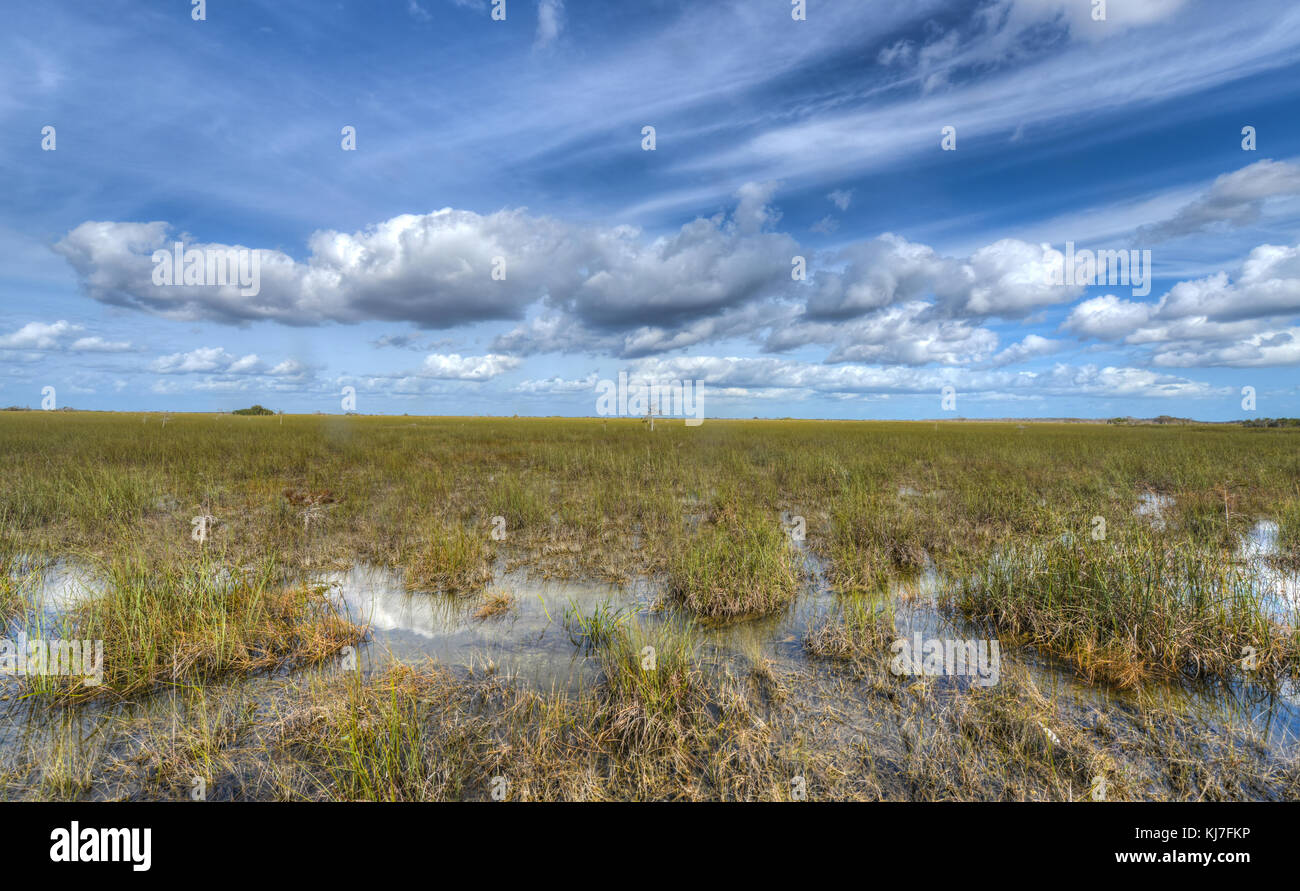 Scenic landscape in the Florida Everglades National Park during the ...