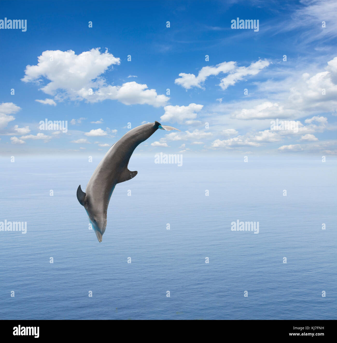 single jumping dolphin, beautiful seascape with deep ocean waters and ...