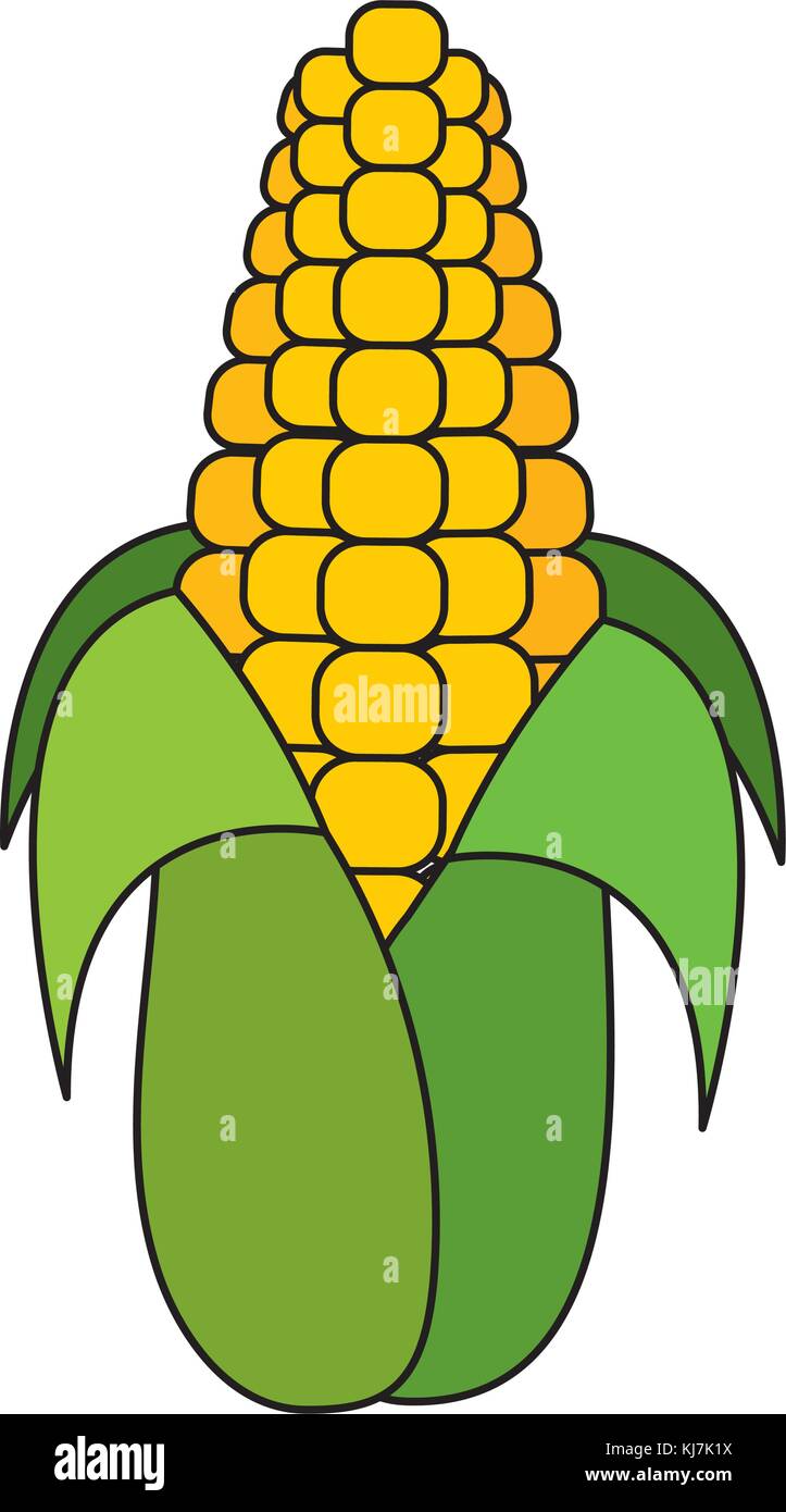 Corn of food vegetable and agriculture theme Isolated design Vector ...
