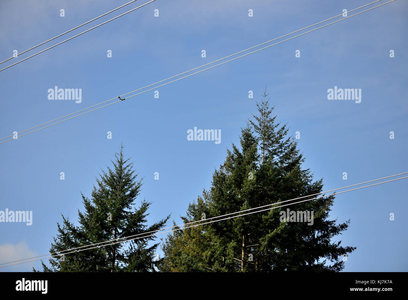 Overhead conductor cable hi-res stock photography and images - Alamy