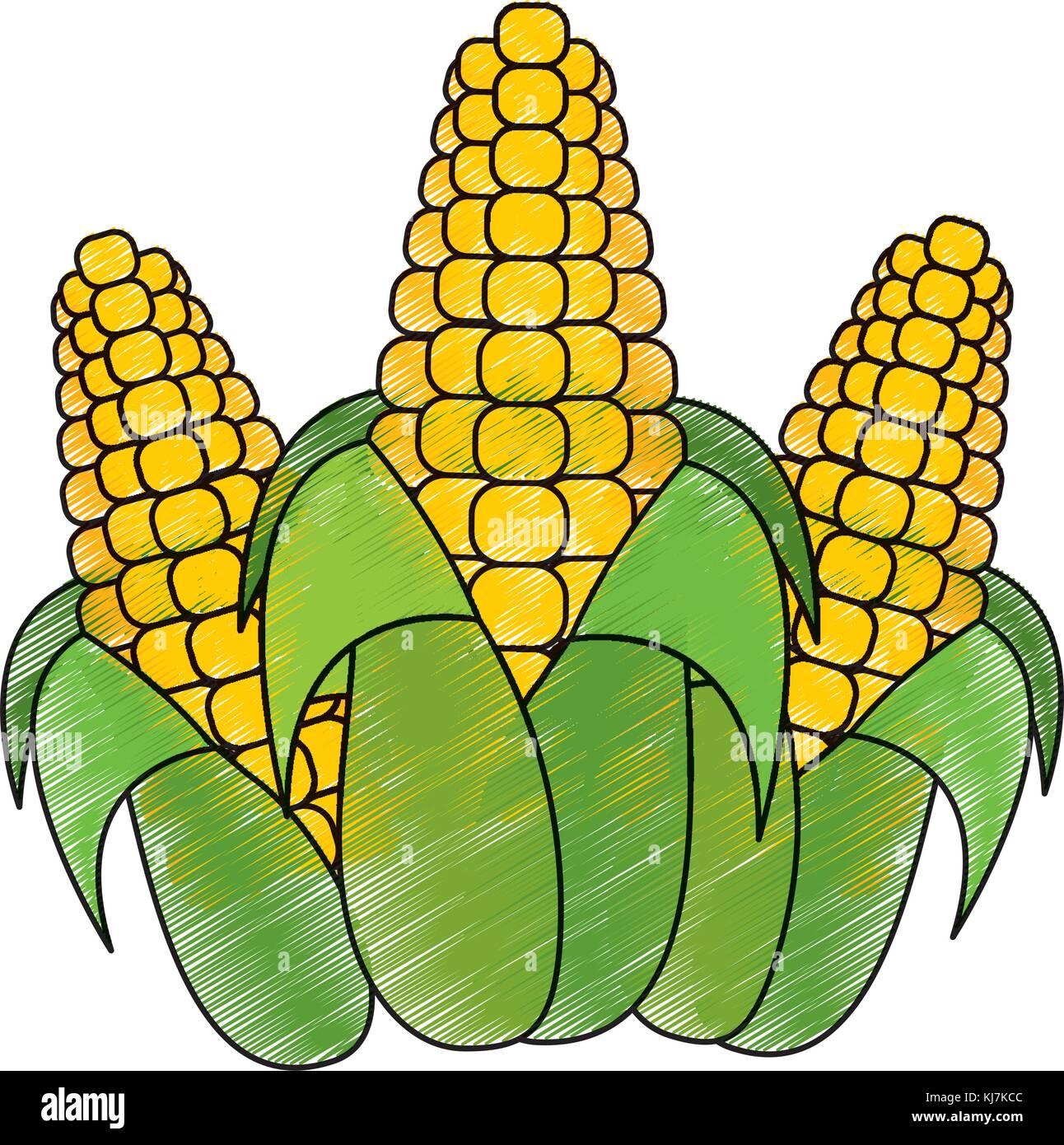 Isolated corn design Stock Vector Image & Art - Alamy